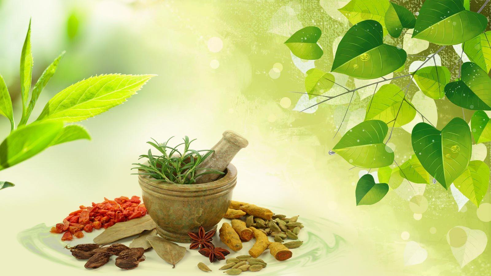 The Ayurveda Experience The Ayurveda Experience